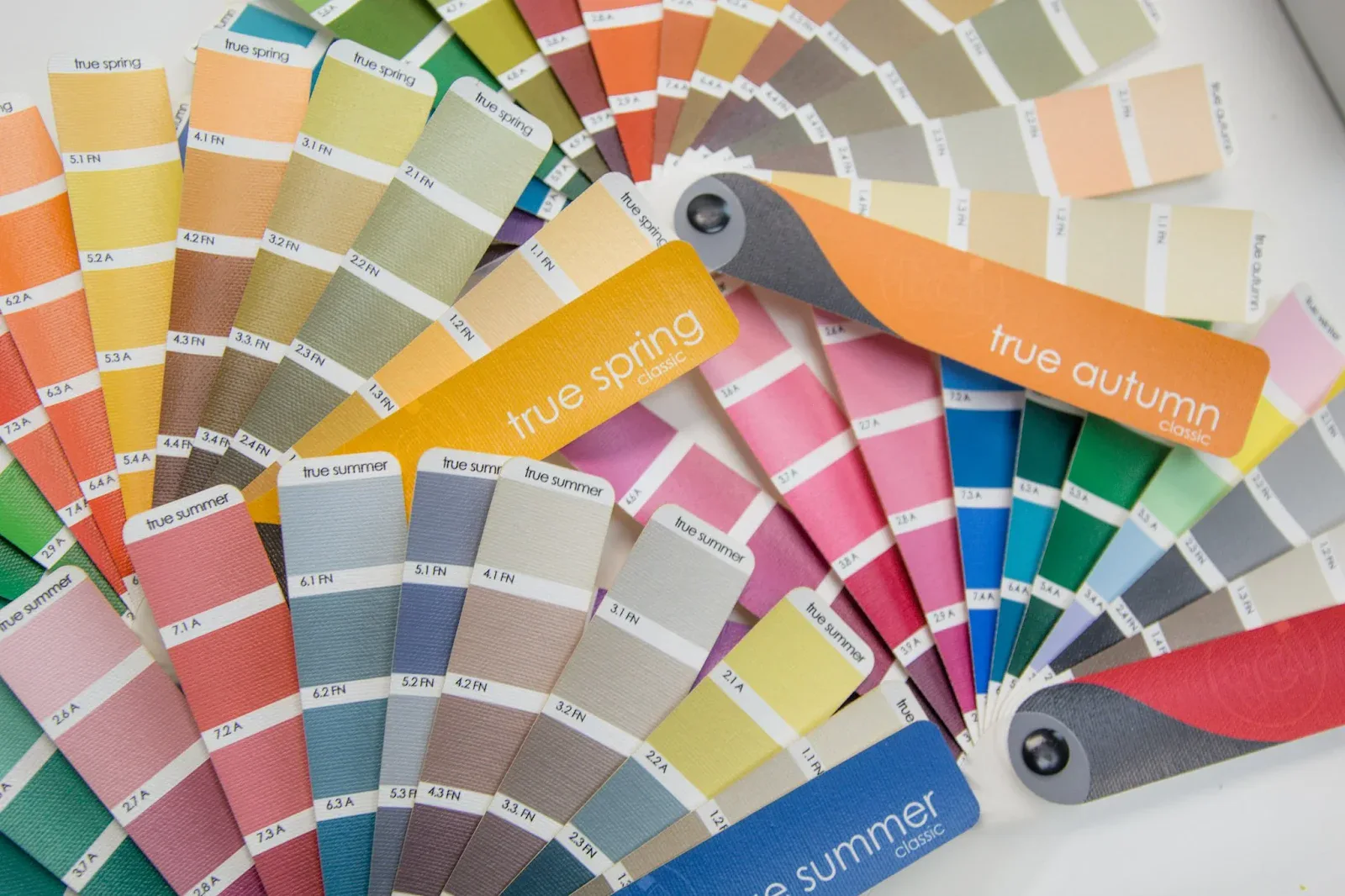 Personal Color Analysis in Riyadh | Know Your Shades